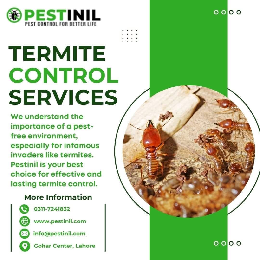 Gallery | Pest Control Company in Lahore Pakistan | Pestinil ®️